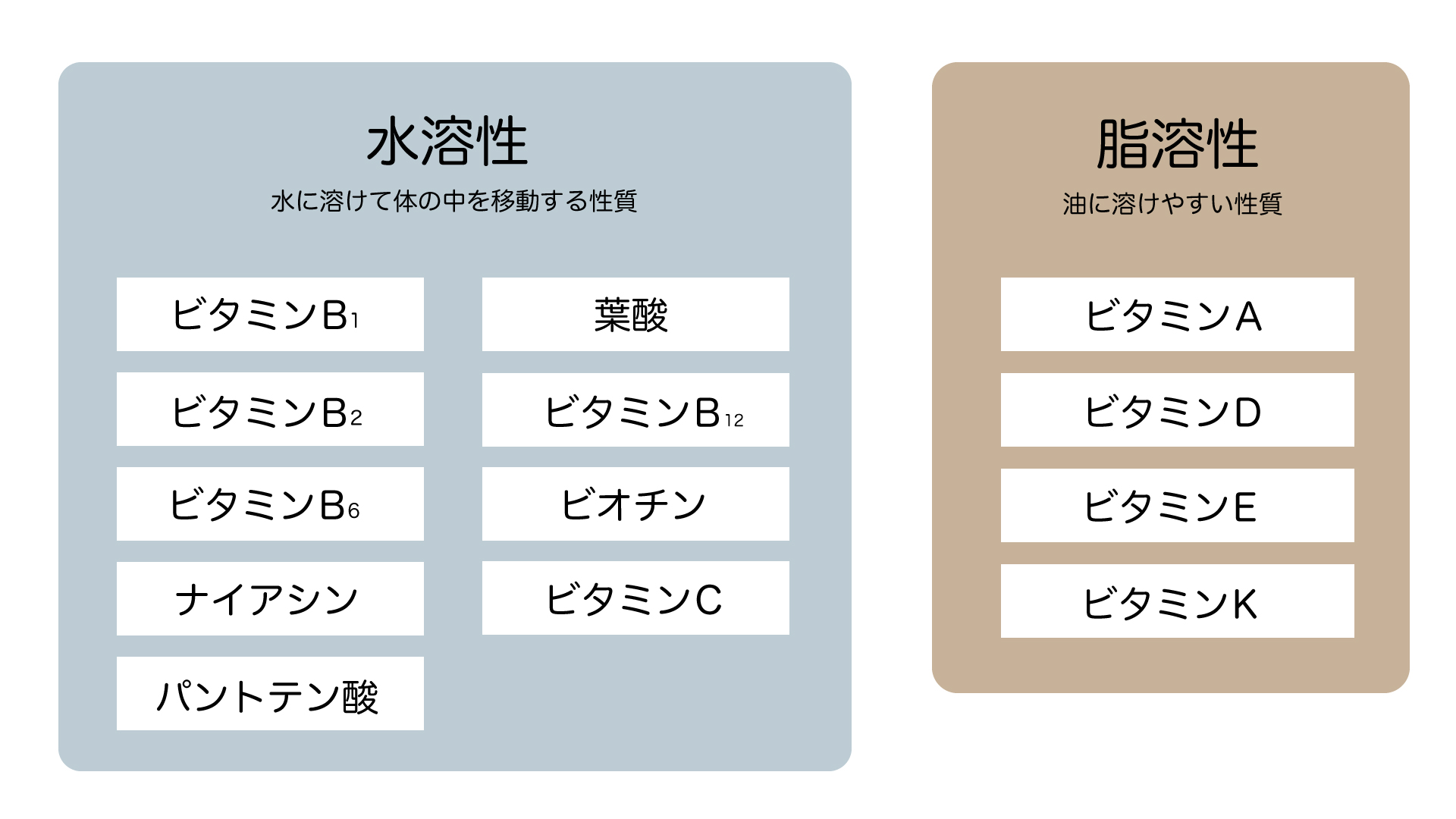 ビタミンB群とは？効果や豊富に含まれる食べ物、不足・過剰で起こること｜わかもとラボ
