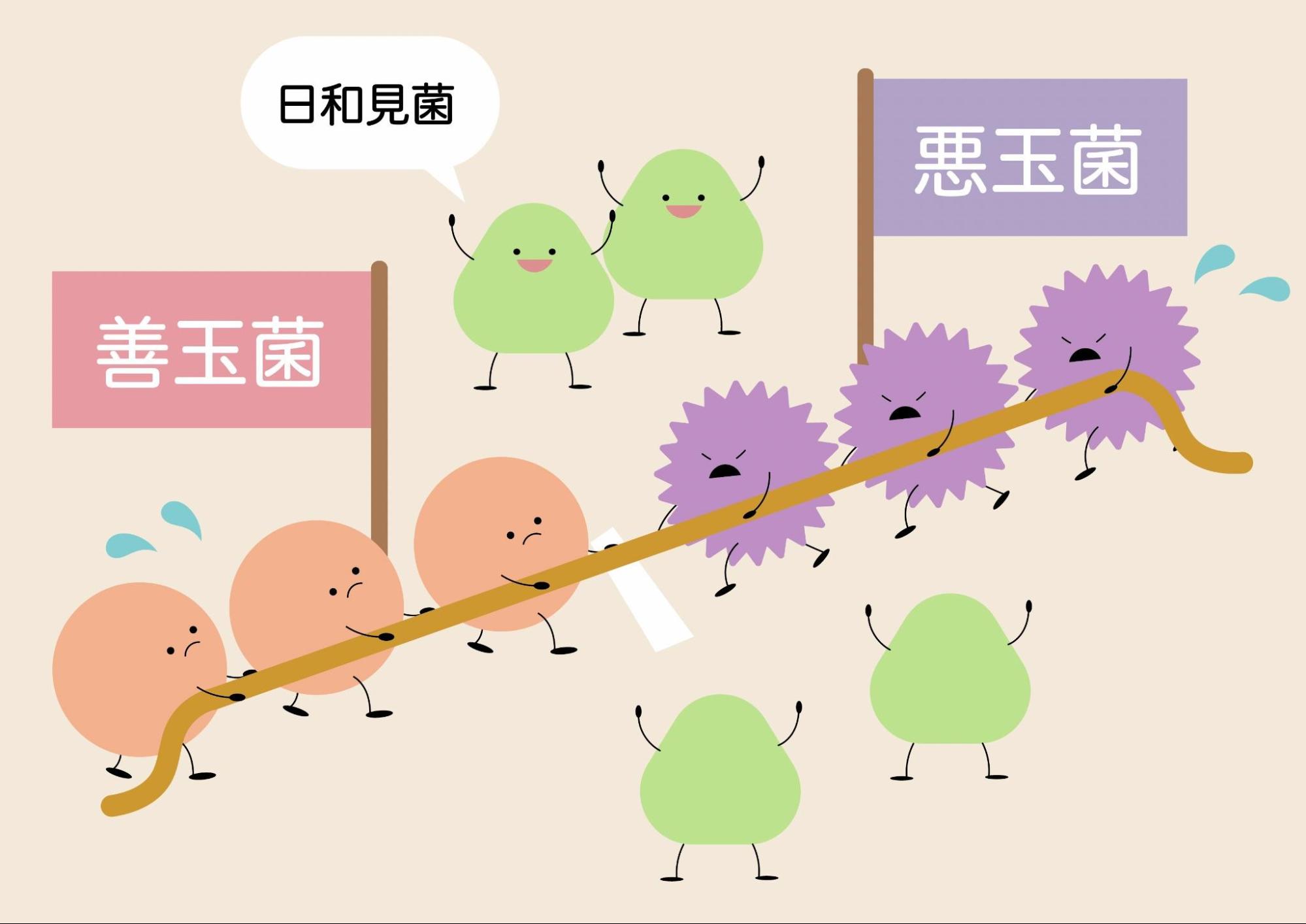 腸内環境はコレで整う！善玉菌を増やす食べ物・正しい腸活を医師が解説！｜わかもとラボ